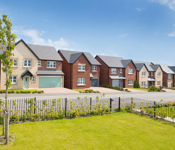 Story Homes: New homes & houses for sale - North of England & Scotland