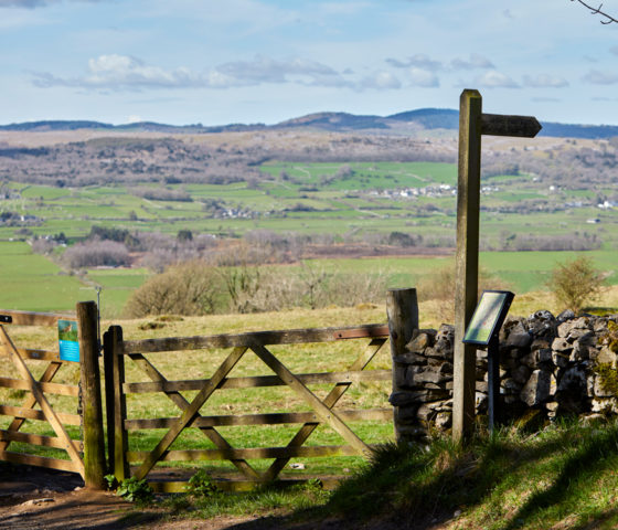 New Homes in Brigsteer, Kendal | Brigsteer Rise | Story Homes