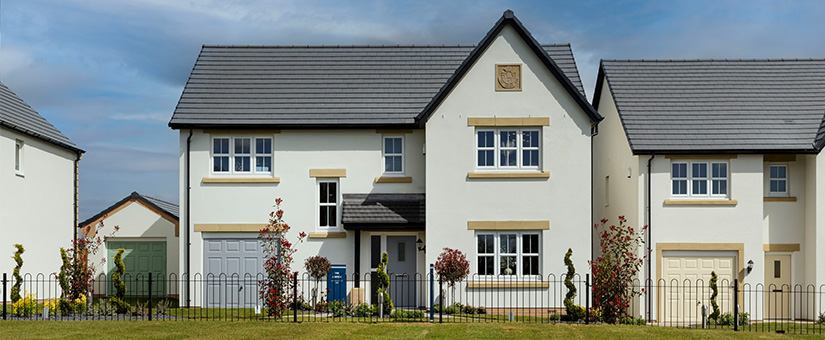 A guide to The Wilson, a 4-bedroom detached home - Story Homes
